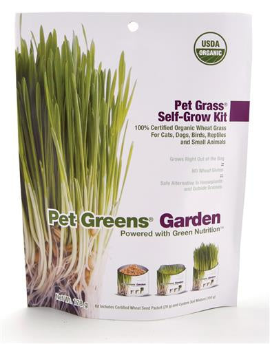 Pet Greens Garden Pet Grass Self Grow Kit - St. Peters, MO - Old Town ...